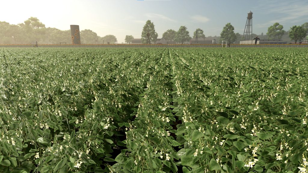 Green Beans are coming in Farming Simulator 25