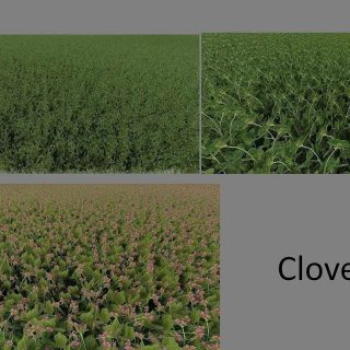 Clover and Alfalfa Texture v1.0.0.1 - FS25 / FS22 Mod