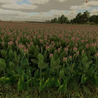 Clover and Alfalfa Texture v1.0.0.0 - FS25 / FS22 Mod