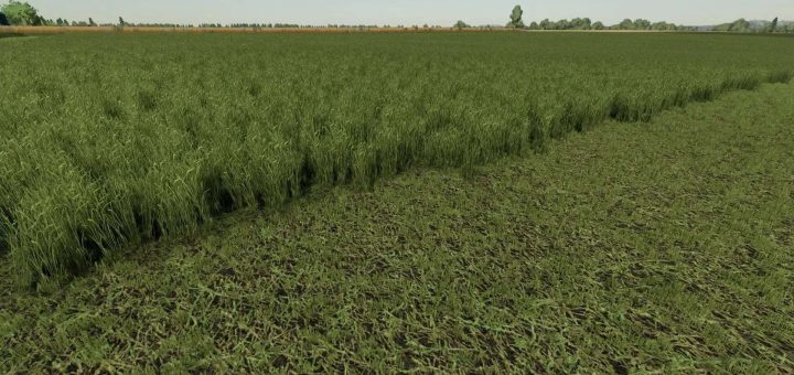 Farming Simulator 22 Textures mods | FS22 Textures mods