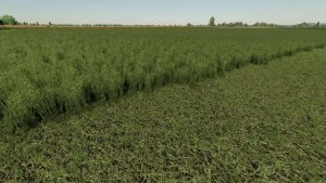 Grass Texture v1.0.0.0 - FS25 / FS22 Mod