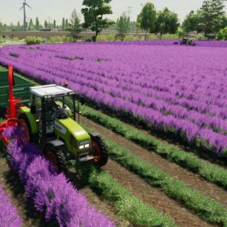 Lavender in Rows (Prefab) v1.0.0.1 - FS25 / FS22 Mod