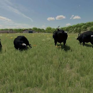 Placeable Bulls v1.0.0.0 - FS25 / FS22 Mod