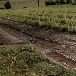 Soil texture v1.0.0.0 - FS25 / FS22 Mod