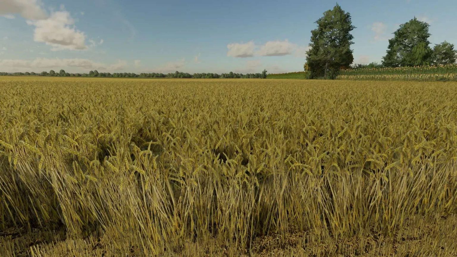 Wheat Texture v1.0.0.1 - FS25 / FS22 Mod
