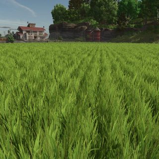FS25 New Crop: Rice & Long Grain Rice