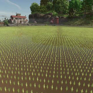 FS25 New Crop: Rice & Long Grain Rice