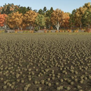 FS25 New Crop: Rice & Long Grain Rice