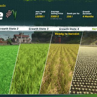 FS25 New Crop: Rice & Long Grain Rice