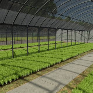 FS25 New Crop: Rice & Long Grain Rice