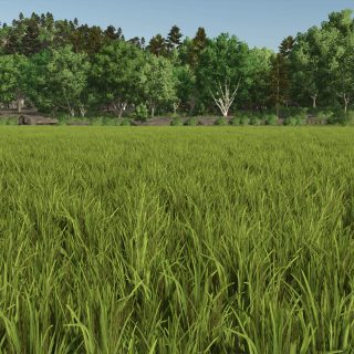 FS25 New Crop: Rice & Long Grain Rice