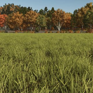 FS25 New Crop: Rice & Long Grain Rice