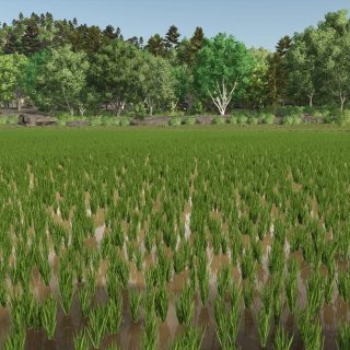 FS25 New Crop: Rice & Long Grain Rice