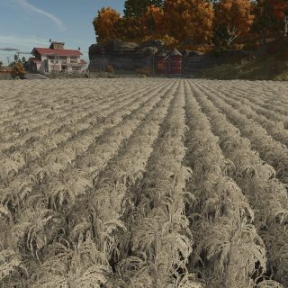 FS25 New Crop: Rice & Long Grain Rice