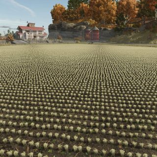 FS25 New Crop: Rice & Long Grain Rice