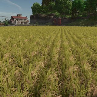 FS25 New Crop: Rice & Long Grain Rice