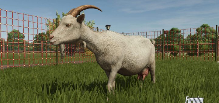 Water Buffalo Mods | FS22 Mods | Farming Simulator 22 Mods