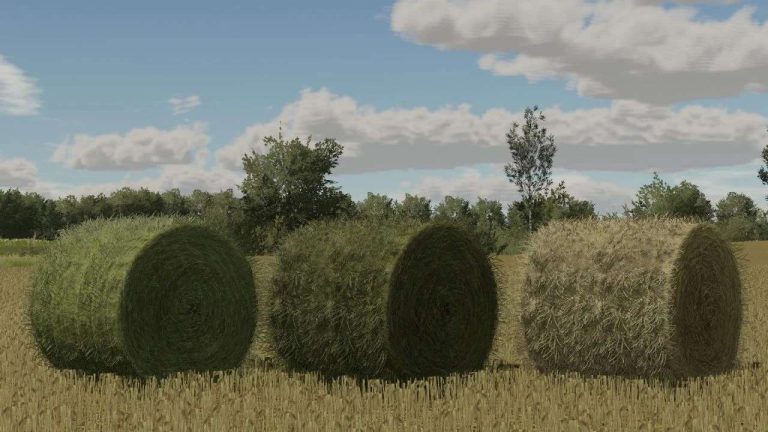 Bale Texture v1.0.0.0 - FS25 / FS22 Mod