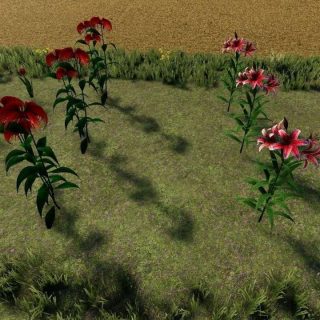 Flower Pack v1.0.0.0 - FS25 / FS22 Mod