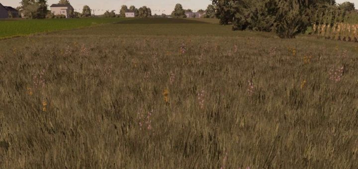 Farming Simulator 22 Textures mods | FS22 Textures mods