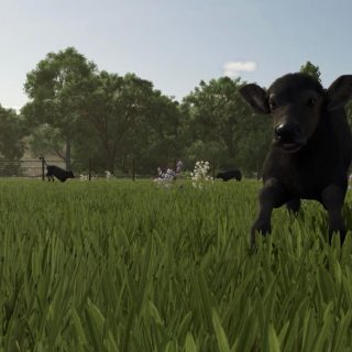 Farming Simulator 25: Customize Stables & Pastures - FS25 / FS22 Mod