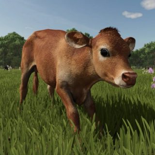 Farming Simulator 25: Customize Stables & Pastures - FS25 / FS22 Mod