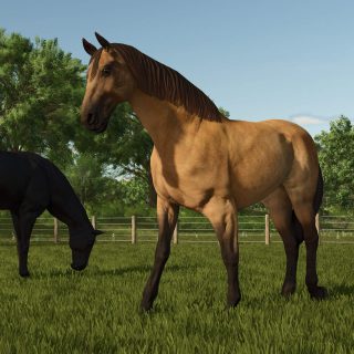 Farming Simulator 25: Customize Stables & Pastures - FS25 / FS22 Mod