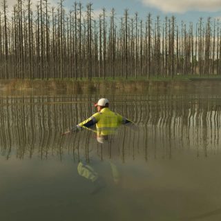 No Tree Limit v1.0.0.0 - FS25 / FS22 Mod