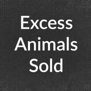 Excess Animal Sold v1.0.0.0 - FS25 / FS22 Mod