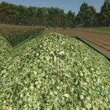 Improved Corn Texture v1.0.0.0 - FS25 / FS22 Mod