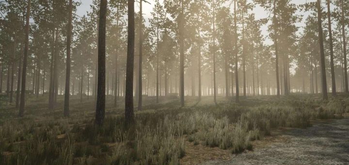 Pinewood Forest Mods | FS22 Mods | Farming Simulator 22 Mods