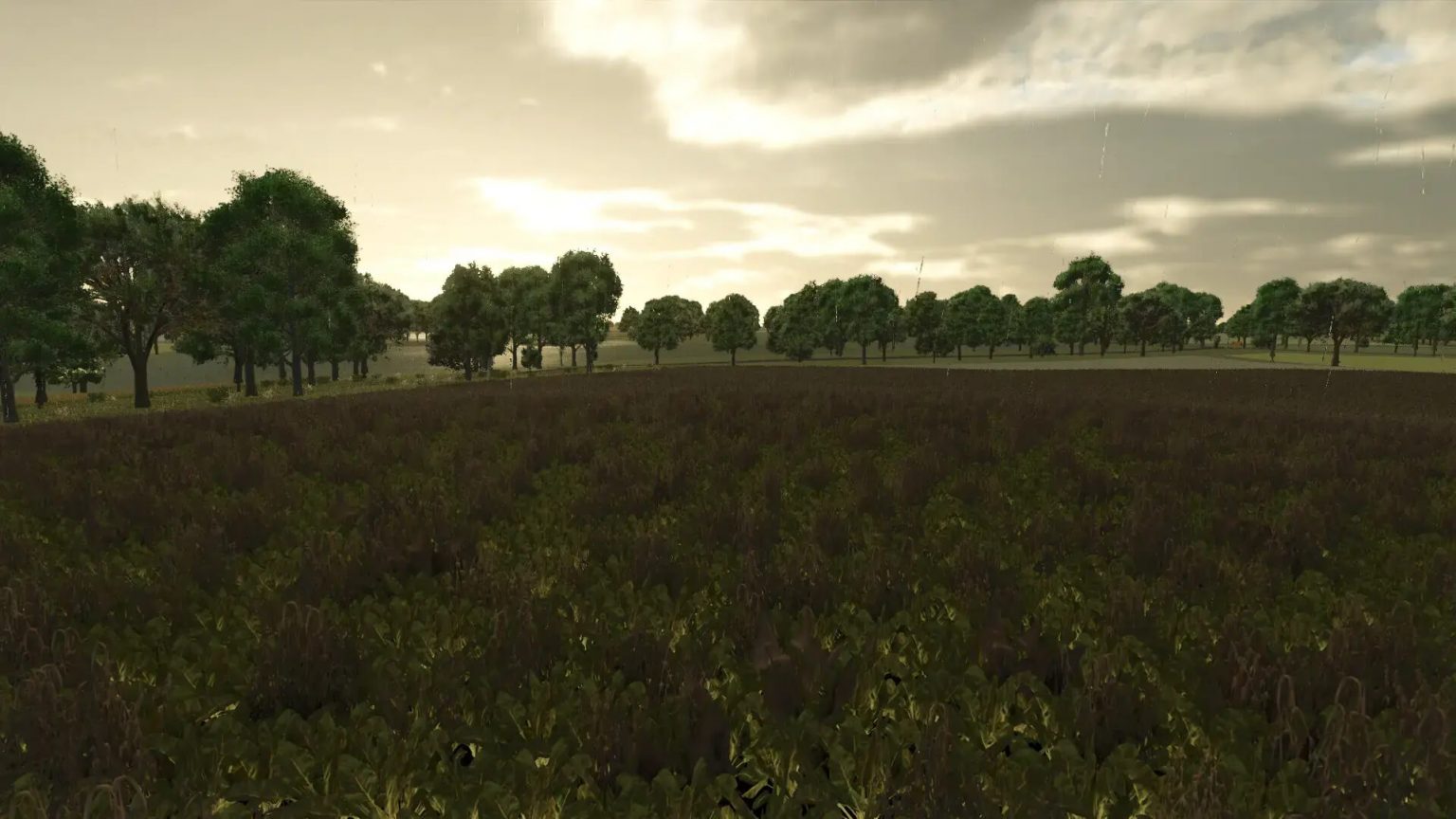 Cheeky Badger Map 4X V1.2.0.1 - FS25 / FS22 Mod