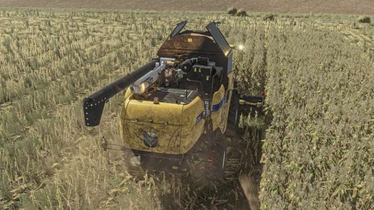 Realistic Maize Texture v1.0.0.0 - FS25 / FS22 Mod