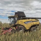 Realistic Maize Texture v1.0.0.0 - FS25 / FS22 Mod