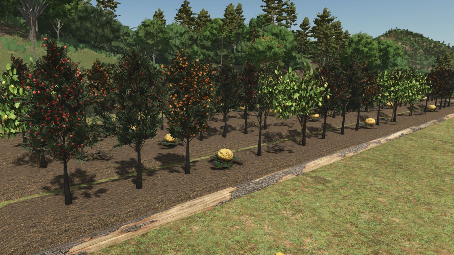 Fruit orchards V1.0.0.0 - FS25 / FS22 Mod