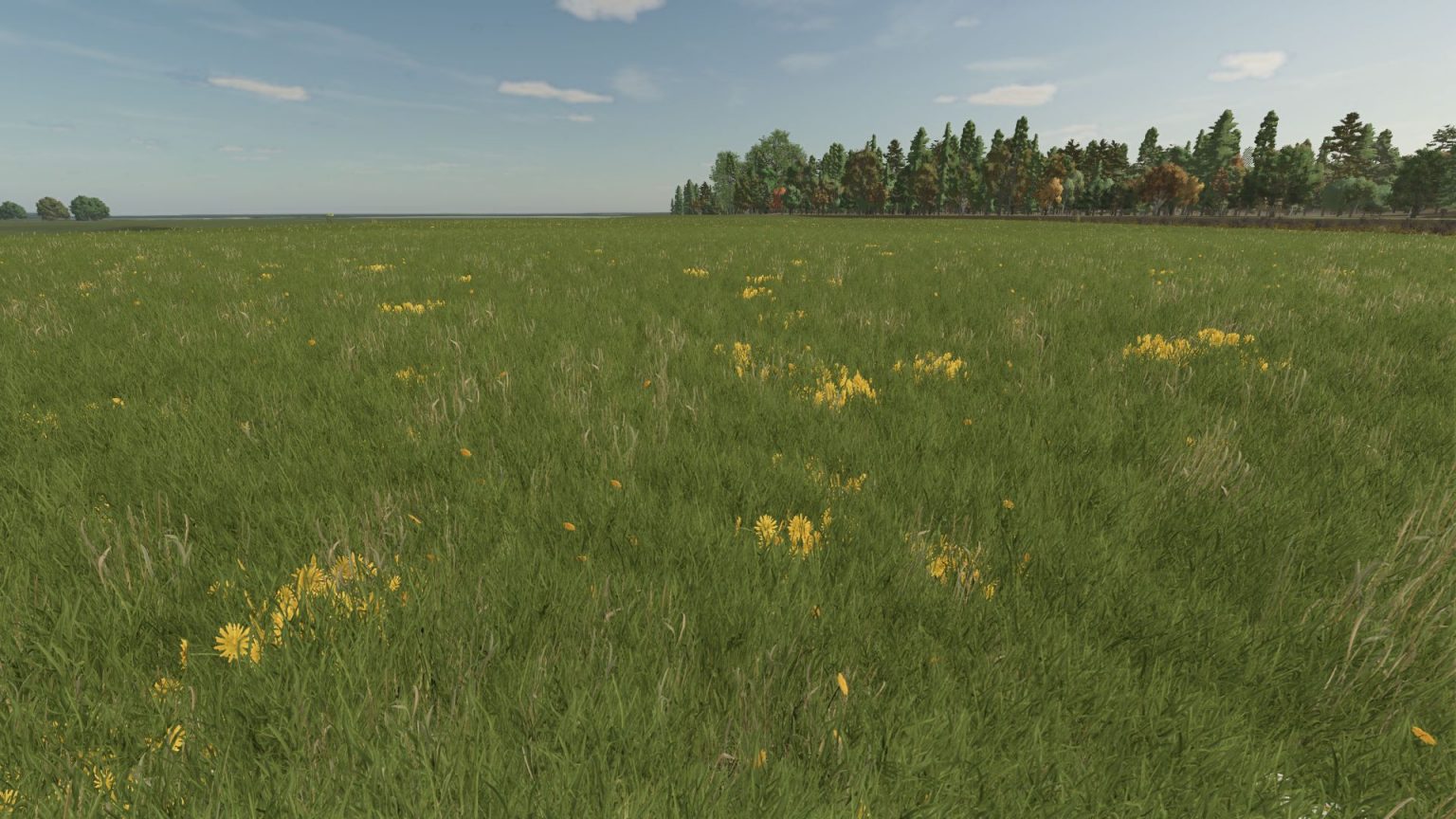 Grass with Dandelions and Daisies V1.0.0.0 - FS25 / FS22 Mod