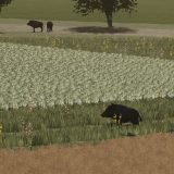 More Wild Animals V1.0.0.0 - FS25 / FS22 Mod