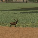 More Wild Animals V1.0.0.0 - FS25 / FS22 Mod