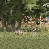 More Wild Animals V1.0.0.0 - FS25 / FS22 Mod