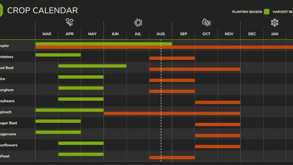 Dakota 16x v1.1.0.4 - FS25 / FS22 Mod