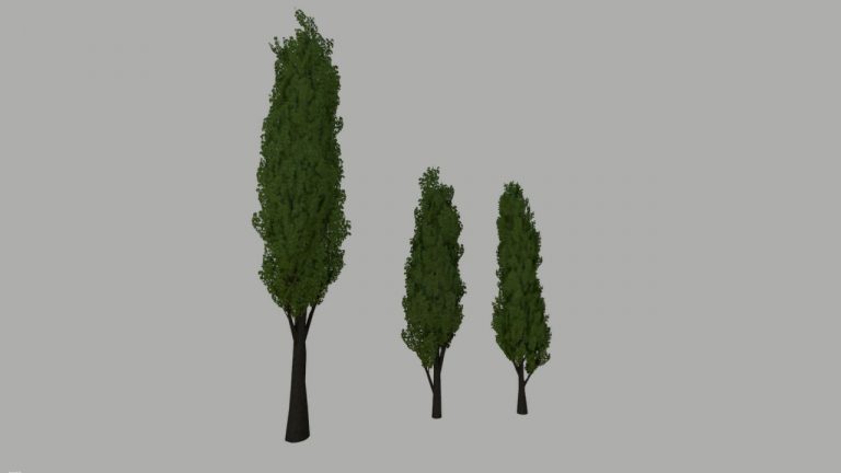 Poplar Trees Pack Prefab V1.0.0.0 - FS25 / FS22 Mod