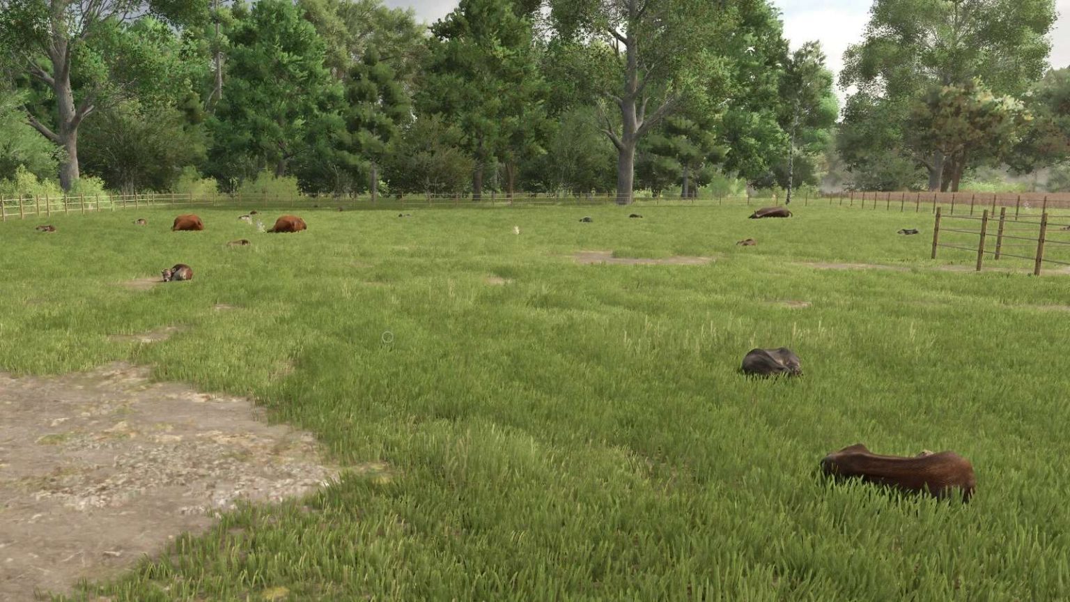 Automatic Drinking Trough v1.0.0.0 - FS25 / FS22 Mod