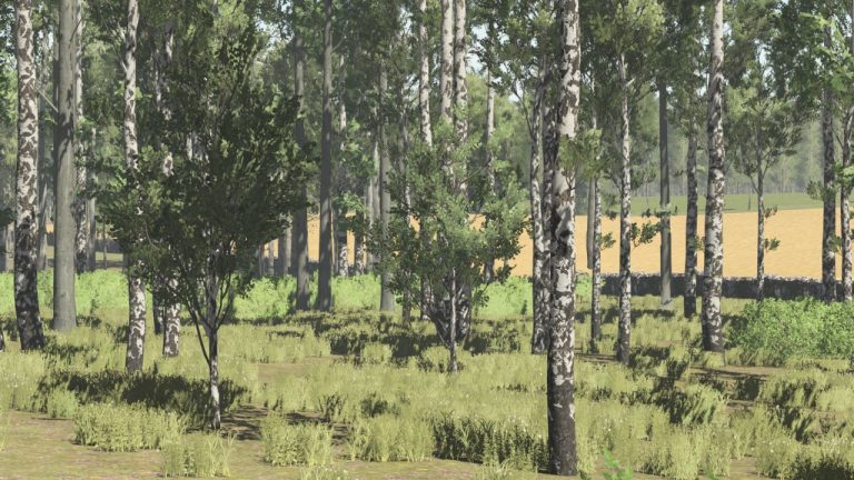 Pinewood Forest Farming Edition V1.0.0.0 - FS25 / FS22 Mod