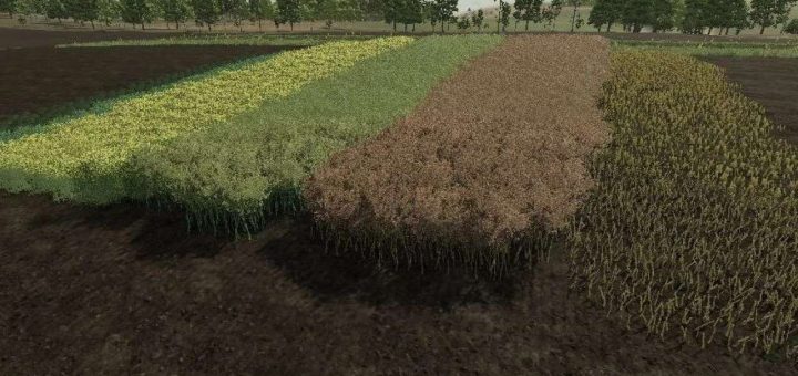 Realistic Canola Mods | FS22 Mods | Farming Simulator 22 Mods