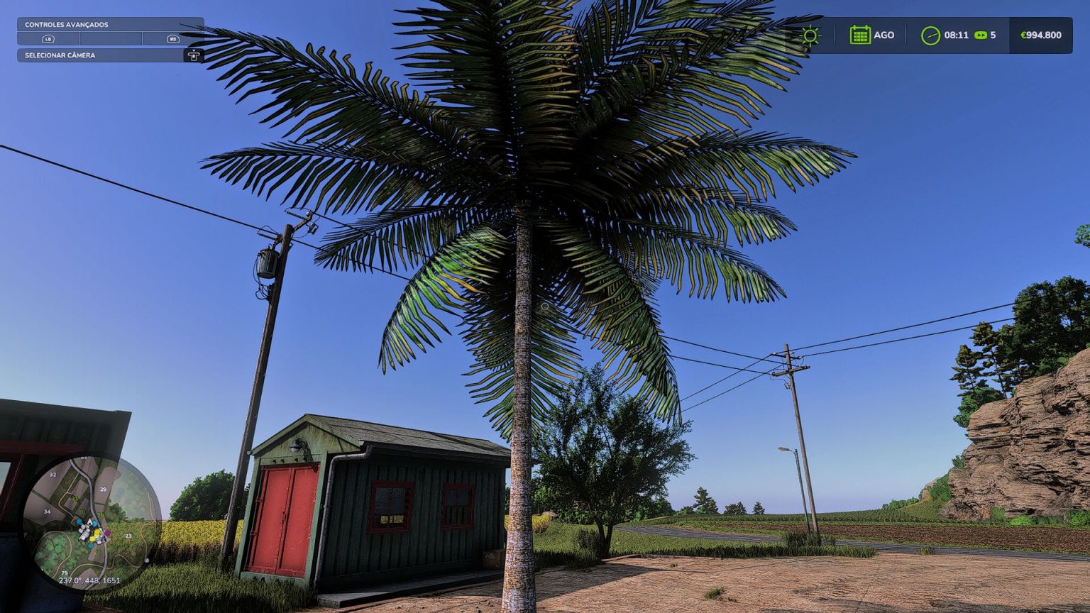 Coconut tree V1.0.0.0 - FS25 / FS22 Mod