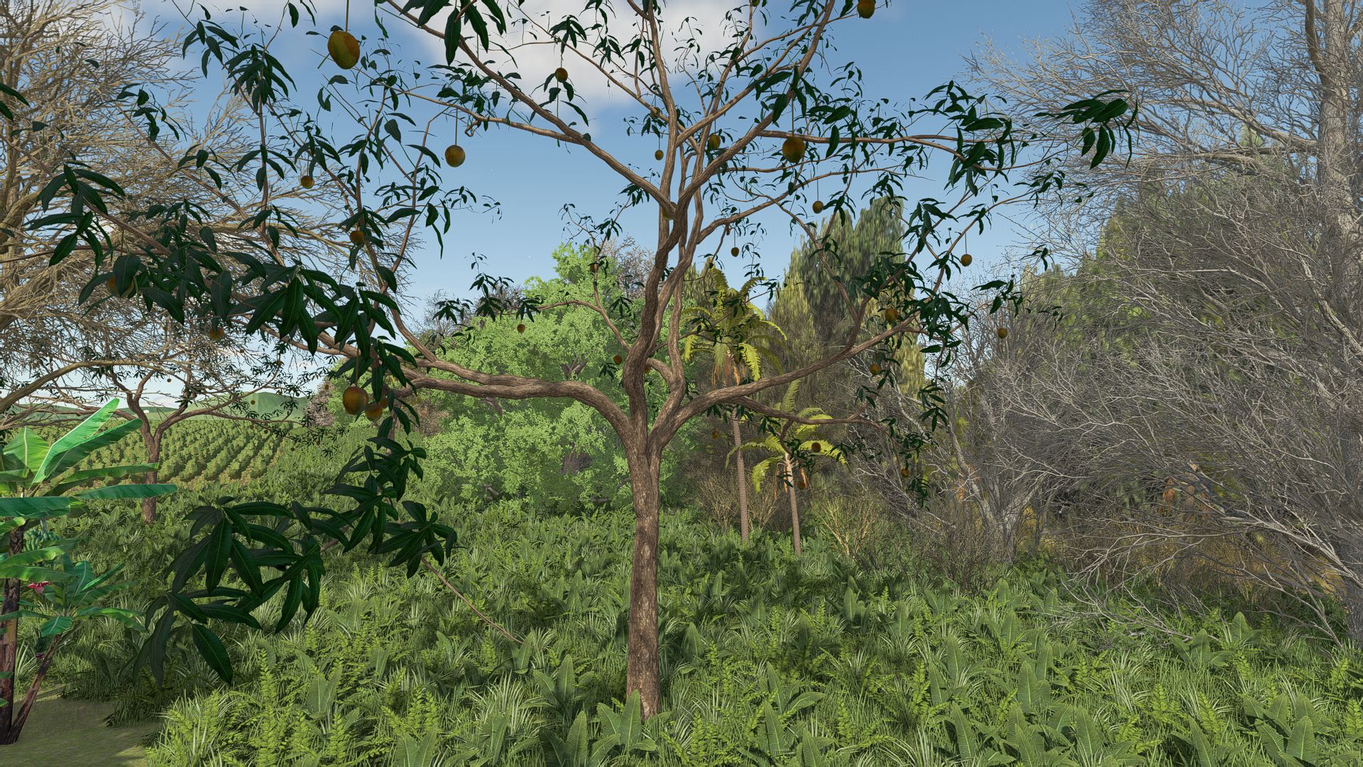 Mango Tree V1.0.0.0 - FS25 / FS22 Mod
