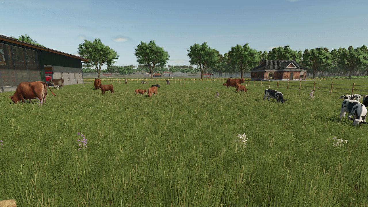 Starbuck, MN V1.2.1.0 - FS25 / FS22 Mod