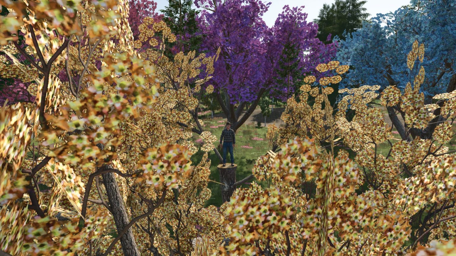 New trees types + new tree limit V1.3.0.0 - FS25 / FS22 Mod