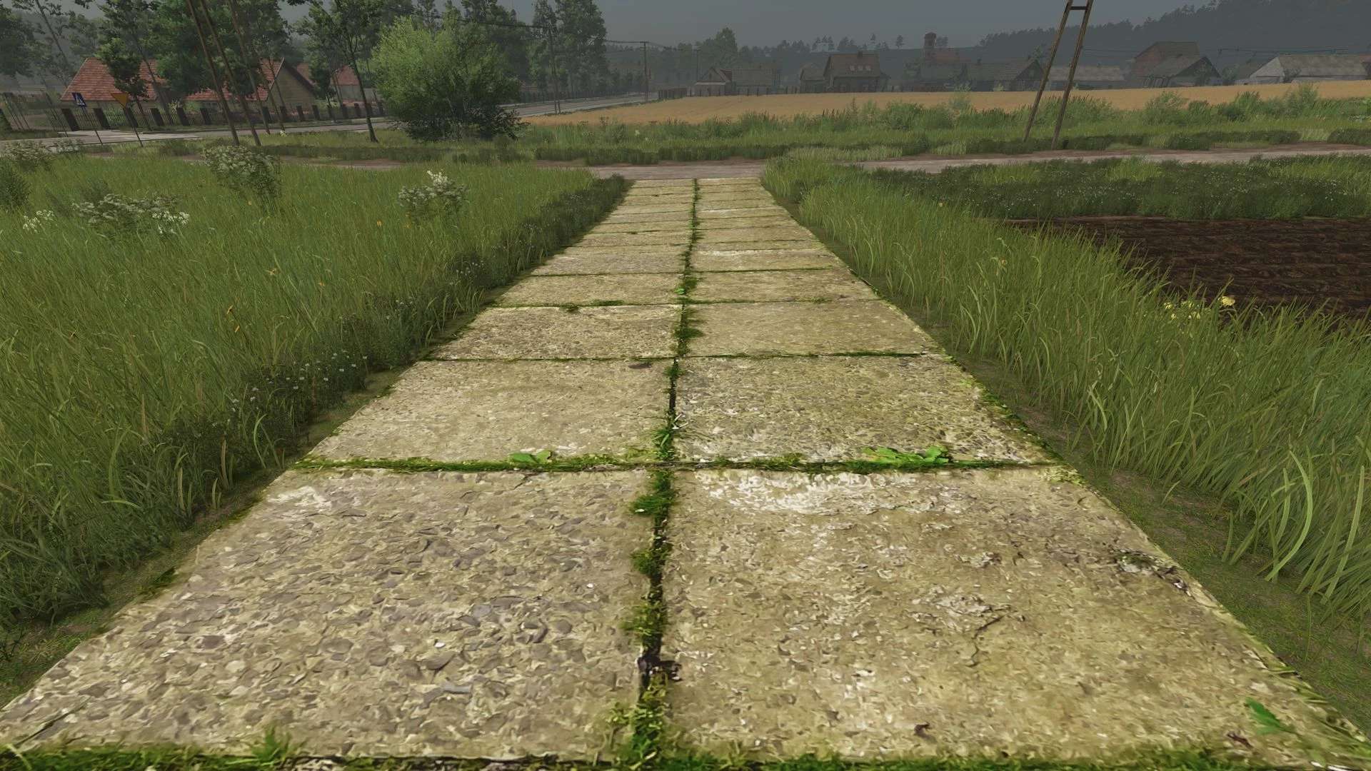 Asphalt and Paved Roads V1.0.0.2 - FS25 / FS22 Mod
