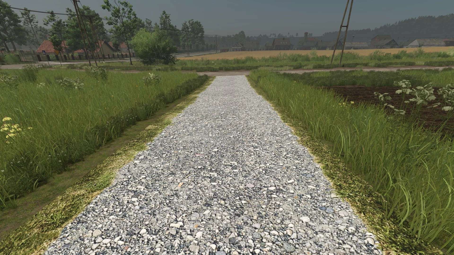 Asphalt and Paved Roads V1.0.0.2 - FS25 / FS22 Mod